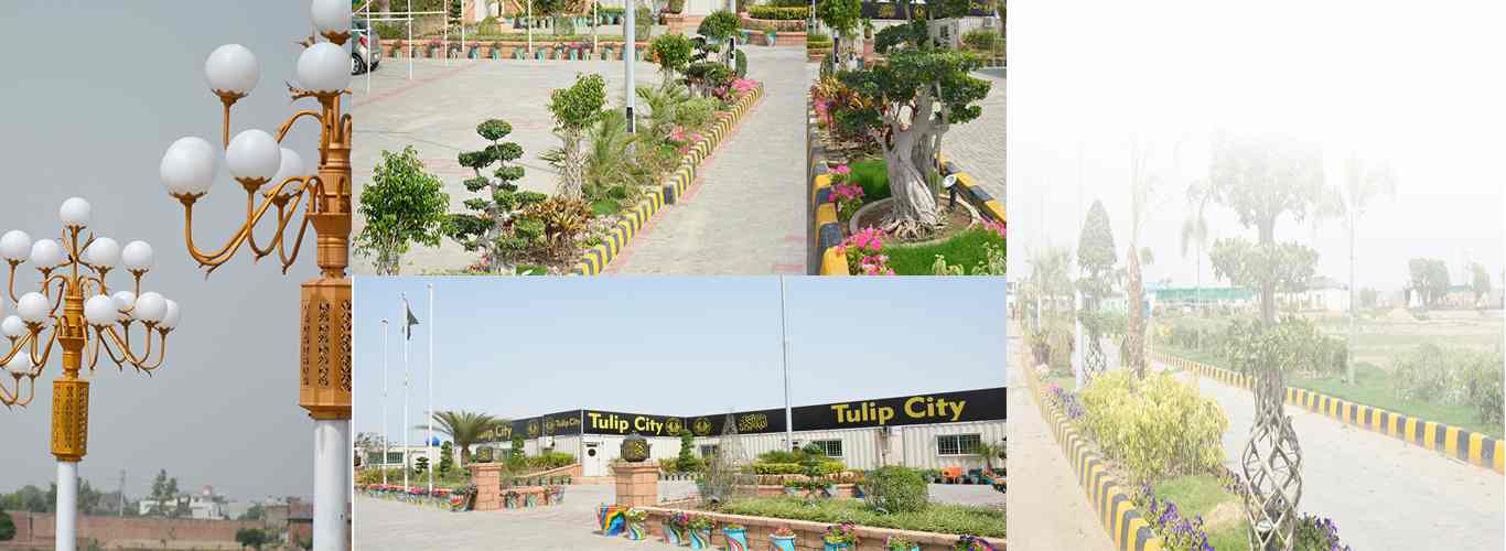 Tulip City Hafizabad |Payment Plan |Location Map |Details